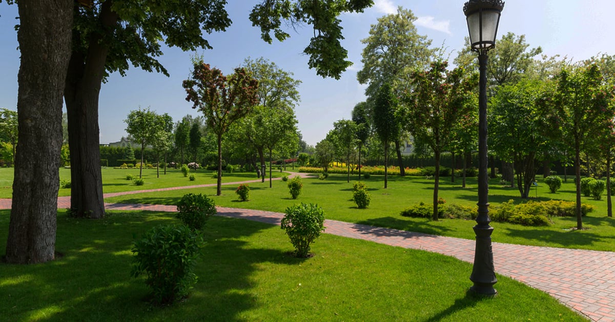 Хот суурин газар мод тарих нь стресс сэтгэл гутралын түвшинг бууруулдаг